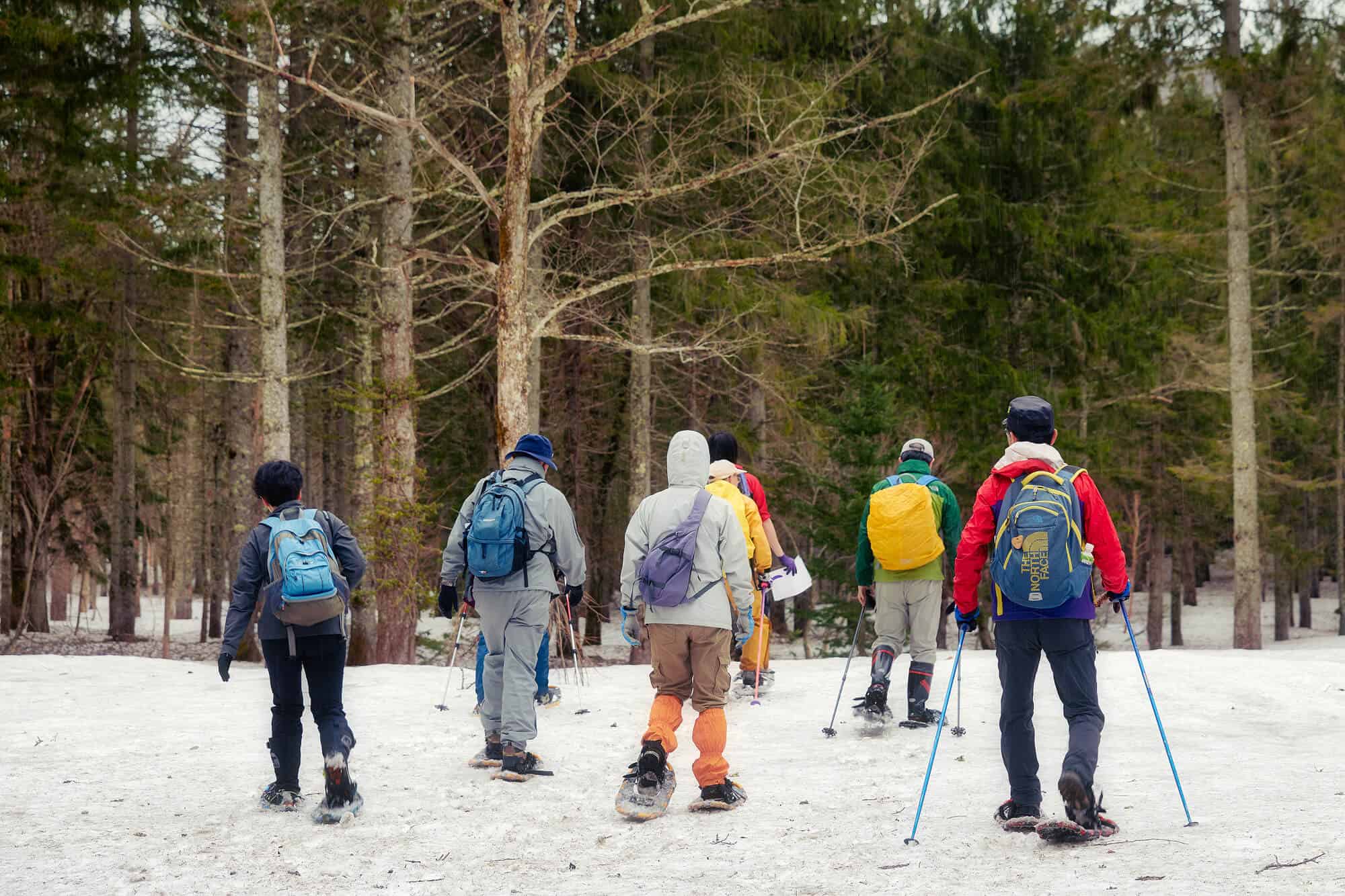 Spring Snowshoeing in Sasagamine
